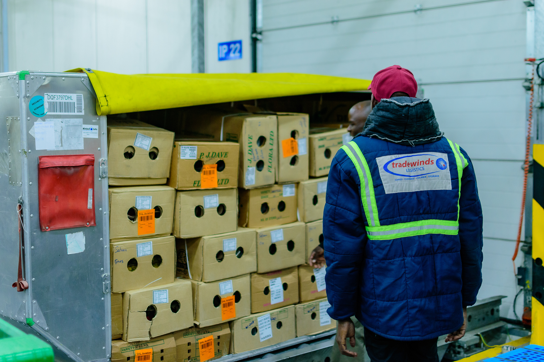 Fresh Produce Handling - tradewinds
