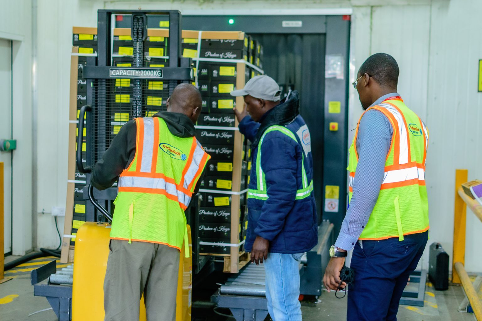 Our Services - tradewinds